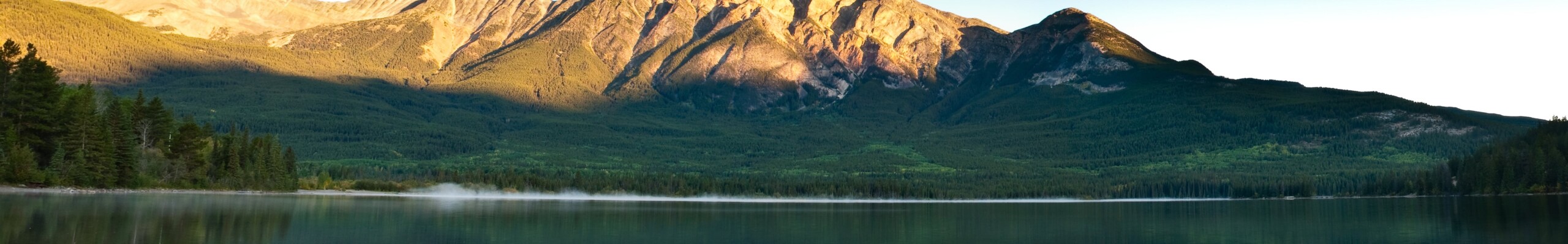 Our Team - OpenGate Capital