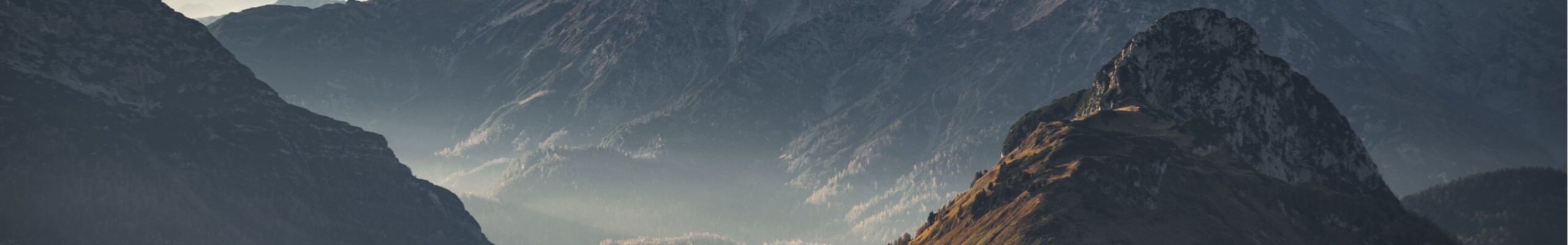 What We Do - OpenGate Capital