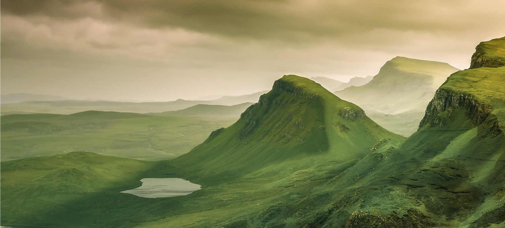 Home - OpenGate Capital