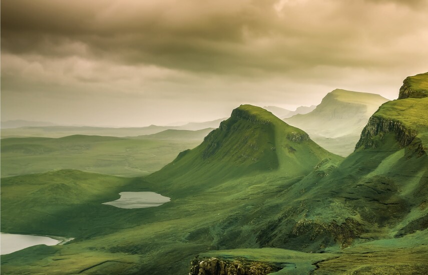 Home - OpenGate Capital