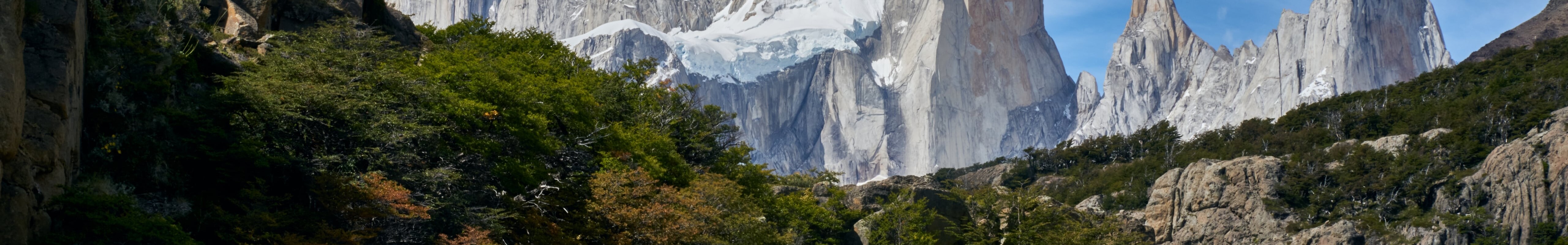 News - OpenGate Capital