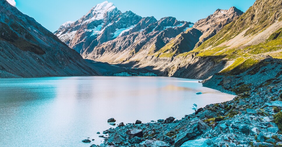 What We Do - OpenGate Capital