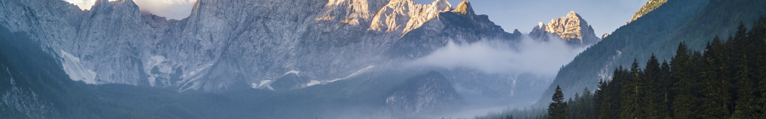 Our Portfolio - OpenGate Capital