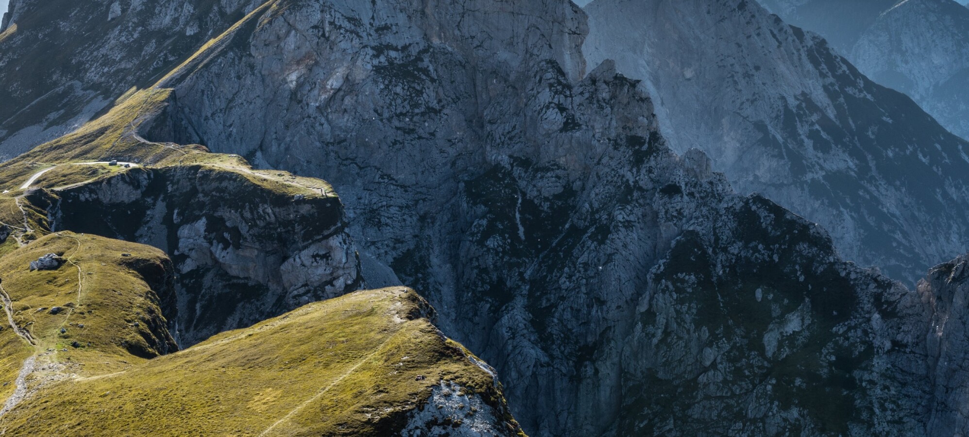 What We Do - OpenGate Capital