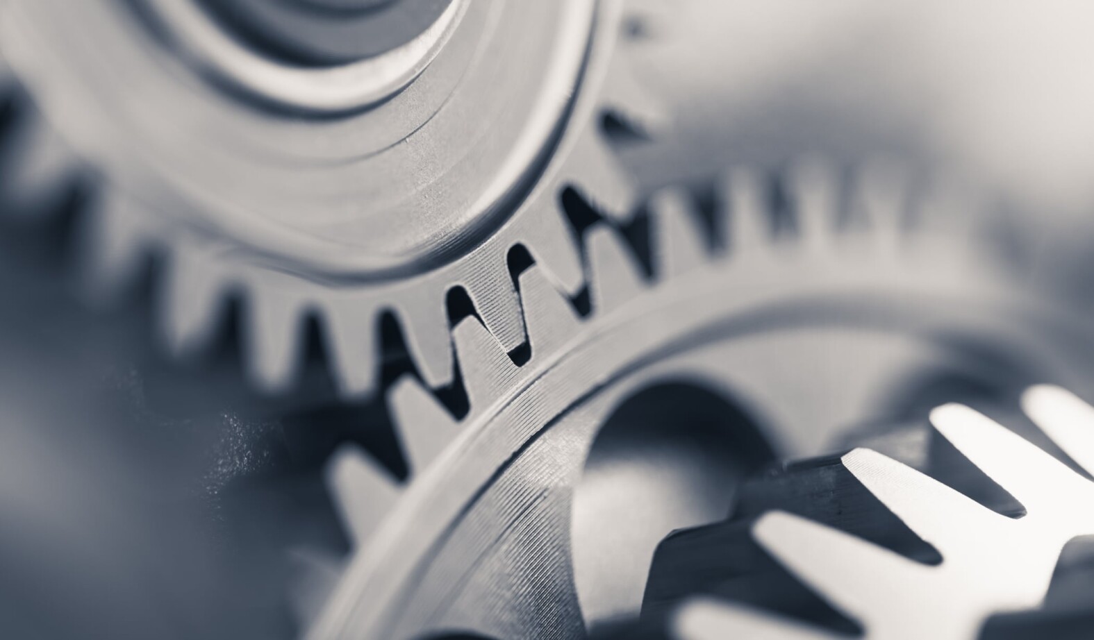 Fiven - OpenGate Capital